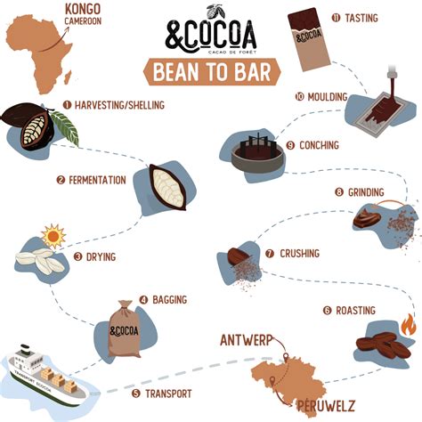 Homemade Bean To Bar Ecocoa Peruwelz