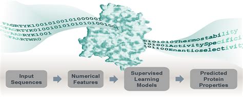 Deep Dive Into Machine Learning Models For Protein Engineering