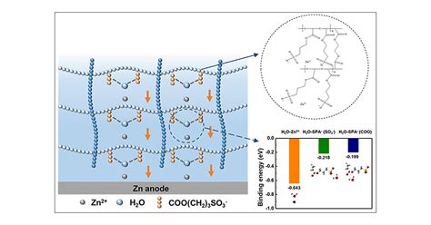 Synergetic Modulation Of Ion Flux And Water Activity In A Single Zn2