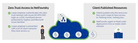 Solarwinds Managed Services L1m3 Services Loop1