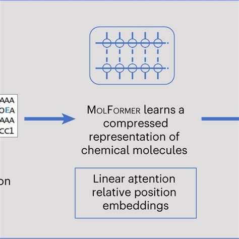large scale chemical language representations capture molecular