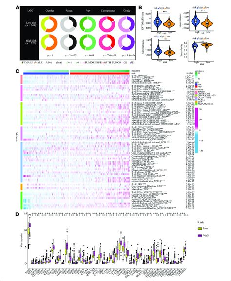 Clinical Characteristics And Immune Characteristics In The Validation Download Scientific