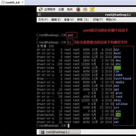 linux相对路径与绝对路径 用相对路径和绝对路径的方法从主目录进入子目录 csdn博客