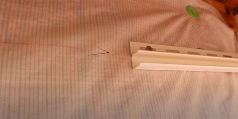 How To Install Soffit And Fascia Excellent Laborer