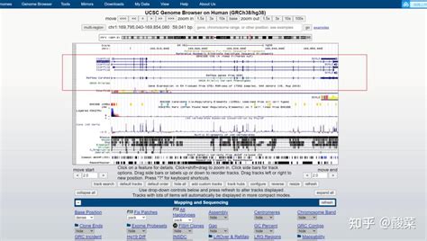 仙桃学术 5 泛癌sci套路，彻底用废一个基因，让别人无路可走！ 知乎