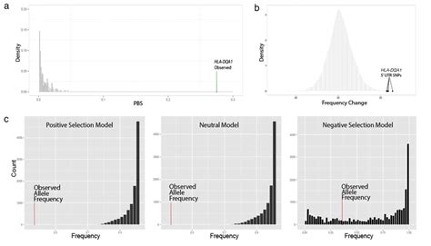 Selection Scenarios Before And After European Contact A