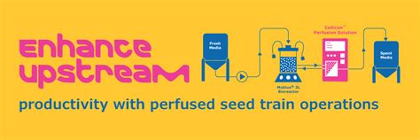 Strengthen Your Single Use Supply Chain In Asia Pacific With Merck