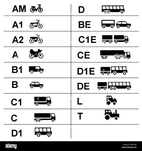 Drivers Licenses Symbols Subdivided Into Different Categories Stock