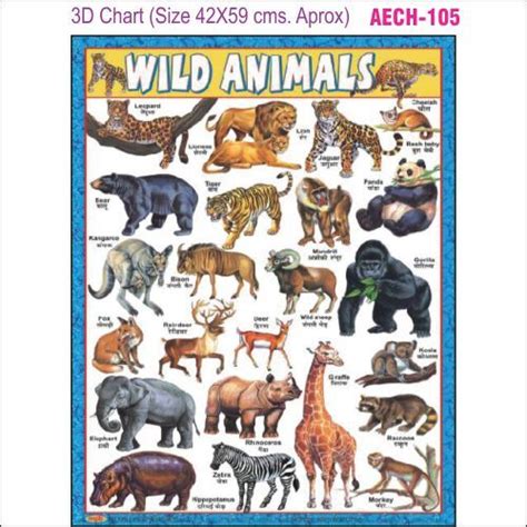 3d Educational Chart Aec 105 At Best Price In Alwar K Rajan Industries