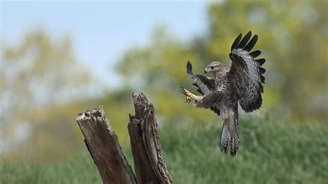 Intel R IPP JPEG Encoder Sep Flickr