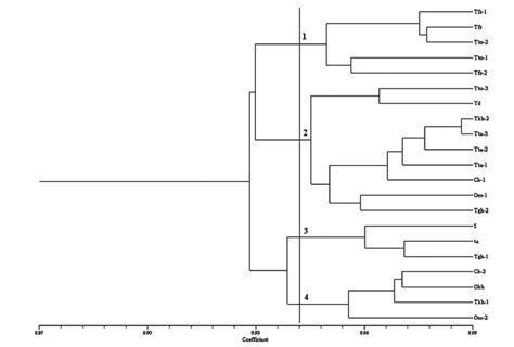 Upgma Cluster Diagram Based On Dice Coefficient Estimated From 164 Rapd Download Scientific