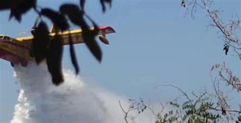 ΕΘΝΙΚΟ ΜΕΤΣΟΒΙΟ ΠΟΛΥΤΕΧΝΕΙΟ