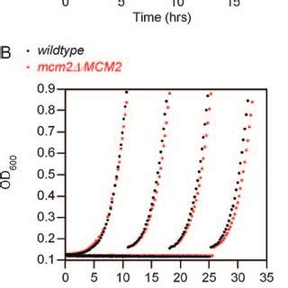 Verification Of Haploinsufficiency Results A Download Scientific Diagram