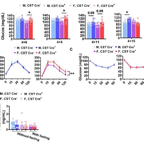 Sex And Age Specific Increase Of Blood Glucose Levels In CST CKO Mice Download Scientific