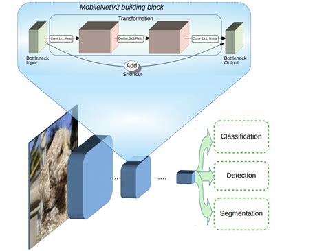 MobileNetV 轻量级模型图像分类 知乎