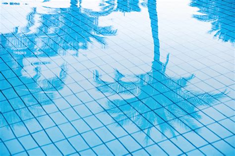 야자수의 열대 배경은 고급 호텔 수영장의 푸른 잔잔한 물 표면에 반사를 남깁니다 야자수 잎의 오픈 워크 윤곽과 추상적 인 배경 휴가 휴가 개념입니다 청록색 배경에 대한 스톡