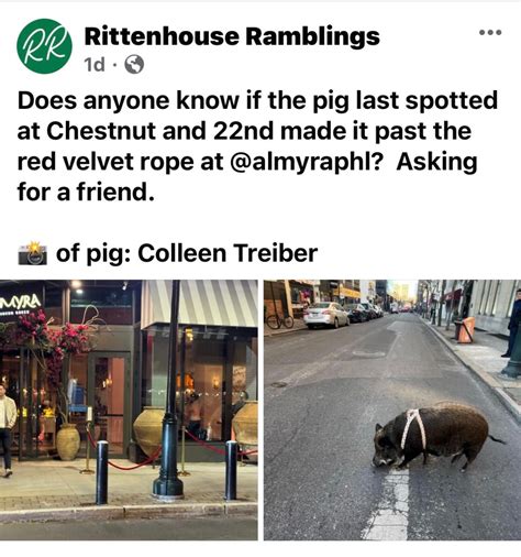 Not All Ramblings Are Related Chestercountyramblings