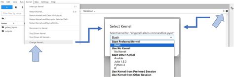 Hands On Generating A Single Cell Matrix Using Alevin And Combining Datasets Bash R