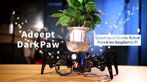 Adeept RaspTank Assembly Tutorial Adeept Video