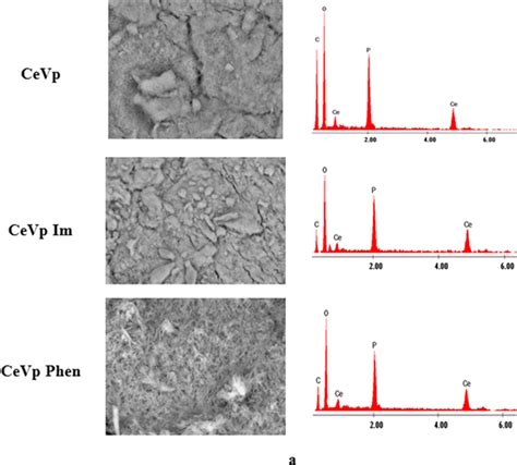 Sem Images And Edx Spectra Of The Synthesized Coordination Polymers