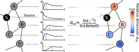 Github Barahona Research Groupdyngdim Dynamic Graph Dimensionality Is A Methodology For