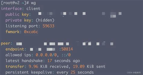组网神器wireguard安装与配置教程（超详细） 阿里云开发者社区