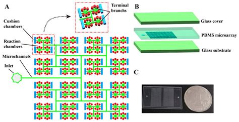 Schematic Of Self Priming Dpcr Chip With Cushion Chambers A Download Scientific Diagram