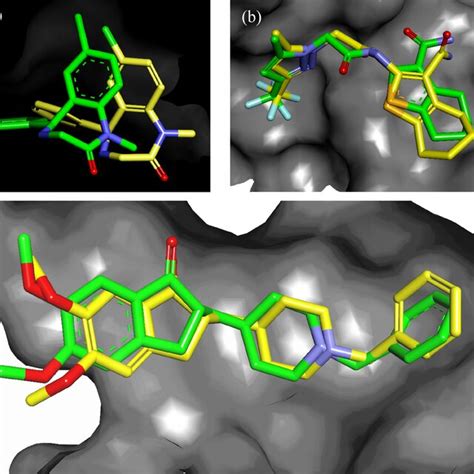 Overlapped Poses Of Co Crystalized Ligand In Green And Docked Pose Of