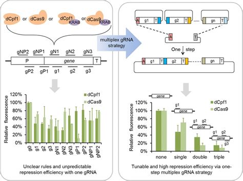 Gene Repression Via Multiplex Grna Strategy In Y Lipolytica Pmc