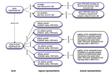 Examples Of Hypotheses Generated By Adam Each Of The Research And Download Scientific Diagram