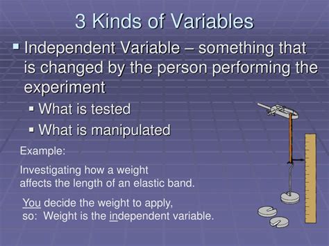 Ppt Identifying Variables And Designing Investigations Powerpoint Presentation Id 2307455