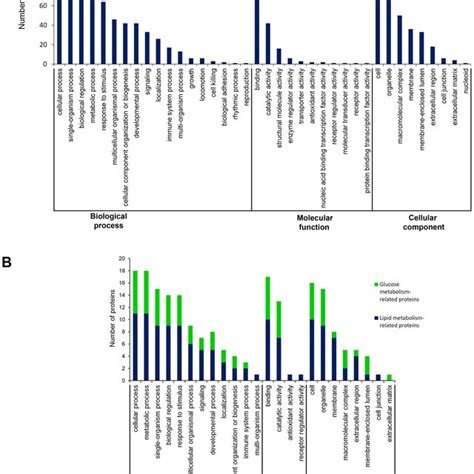 Quantitative Identification And Bioinformatics Analysis Of Tumor Tissue