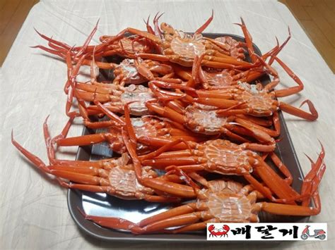 대구 배달게 [대게 홍게 수입대게 킹크랩 반야월맛집 골뱅이 대구동구맛집 대구맛집] Band