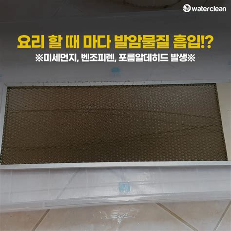 워터클린 홈케어 요리할 때마다 발암물질 흡입 집에서 요리를 할 때 조리 과정에서 발생되는 Facebook