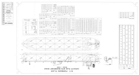 Capacity Plan With Deadweight Scale Dw 84 998 Mt Pdf