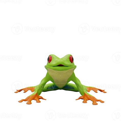 Red Eyed Tree Frog 22308445 Png