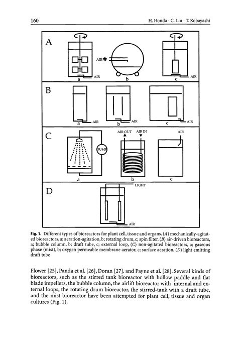 Bioreactors External Loop Big Chemical Encyclopedia