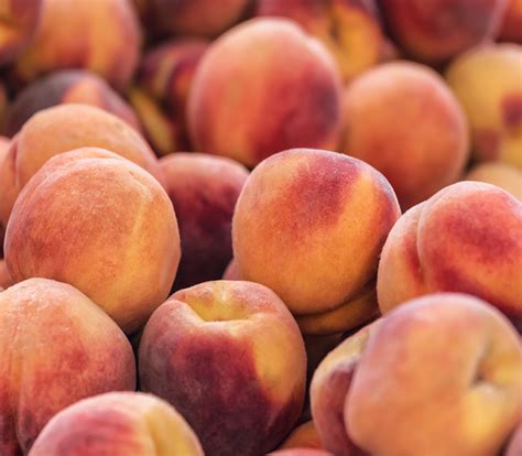 Peach Grading Machine Every Peach Counts Ellips Elisam