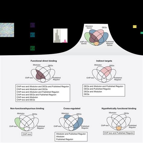 A Workflow Used For Each Gene Expression Dataset B Categories Of