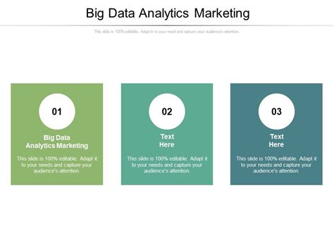 Big Data Analytics Marketing Ppt Powerpoint Presentation Summary Format