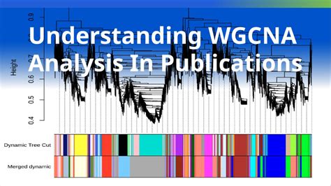 Understanding Wgcna Analysis In Publications