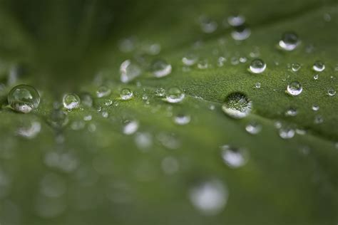 Regentropfen 05194896 Erlebnisraum Gesundheit