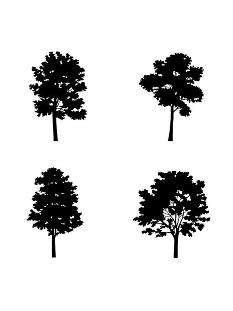 300 Tree Section View Ideas Tree Tree Photoshop Trees To Plant