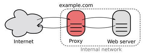 daily cs reverse proxy