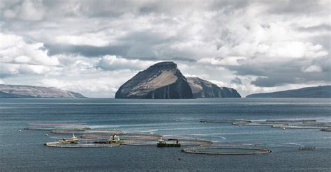 4k 배경 고요한 물 고요한 전망 구름 낀 하늘 구름층 극적인 절벽 낚시 그물 넓은 바다 노르딕 워터스 높은 해상도 대서양 물 농업 바다 바다 경치