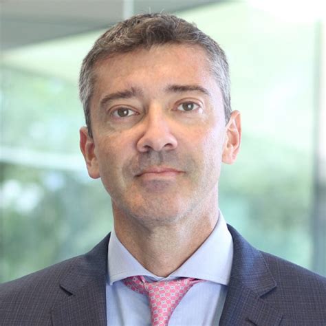 We Anticipate A Lot Of Activity In The Santos And Campos Basins Bnamericas