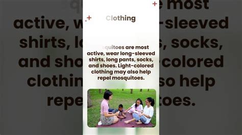 sneha tondary on linkedin 5 tips to prevent dengue fever best tips to