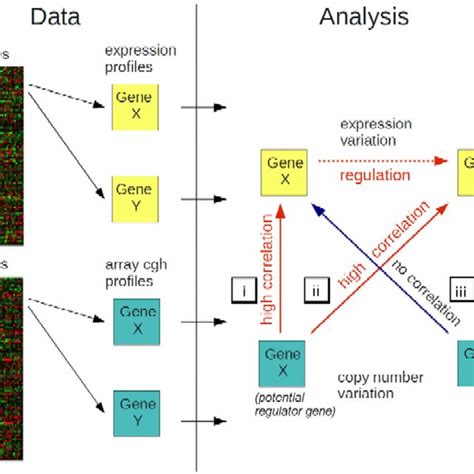 Schematic Diagram Illustrating The Key Analysis Steps Download