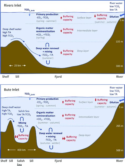 Conceptual Diagram Of The Major Processes Controlling Buffering Download Scientific Diagram
