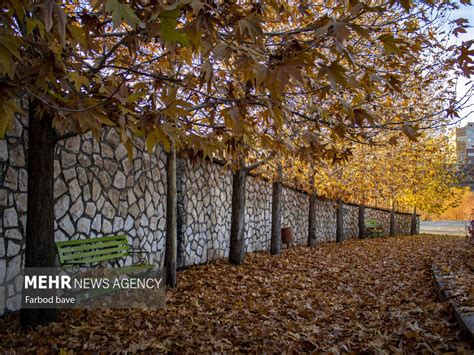 طبیعت پاییزی سقز تابناک Tabnak